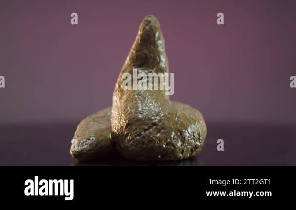 Realistic human feces rotating 360 degrees. Or dog feces Stock Video ...