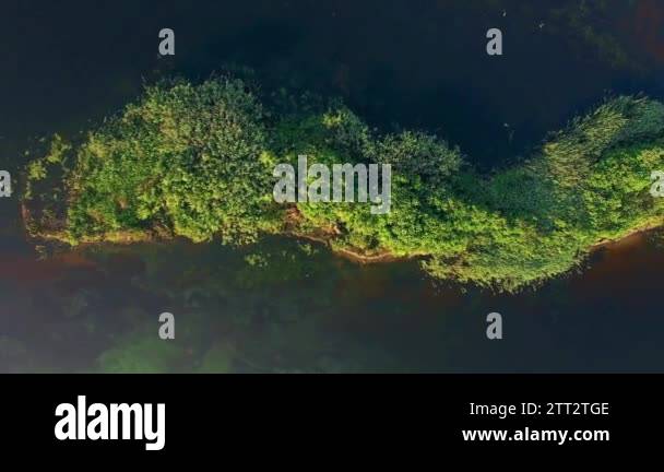 fly over island on the river 4K, 4K aeria view of island with reed ...