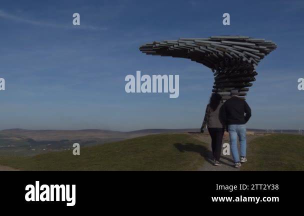 Pipe tree Stock Videos & Footage - HD and 4K Video Clips - Alamy