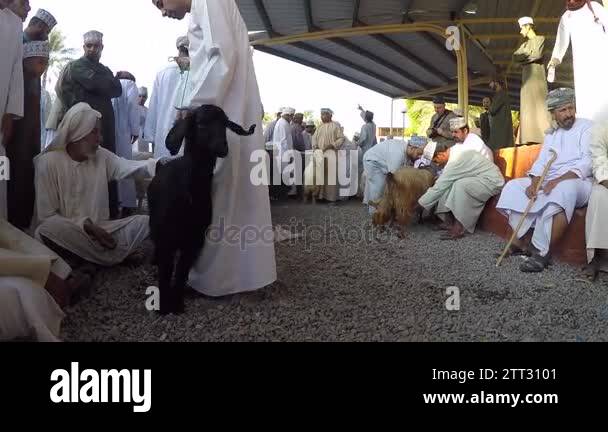 Traditional goat Stock Videos & Footage - HD and 4K Video Clips - Alamy