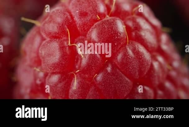Raspberry texture Stock Videos & Footage - HD and 4K Video Clips - Alamy