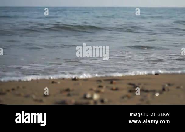 Macro wave Stock Videos & Footage - HD and 4K Video Clips - Alamy