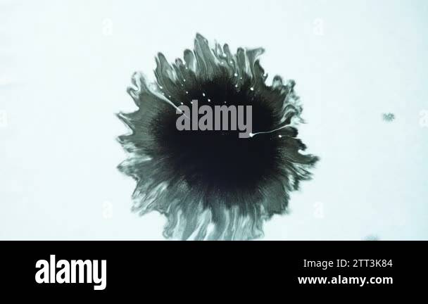 Drop of black ink. Ink splatter on white background. Black splash ...