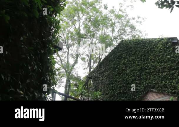 Retro scenery Stock Videos & Footage - HD and 4K Video Clips - Alamy