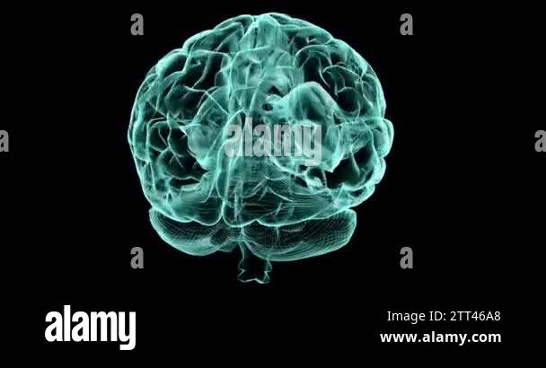 Human Brain X-Ray Render Stock Video Footage - Alamy
