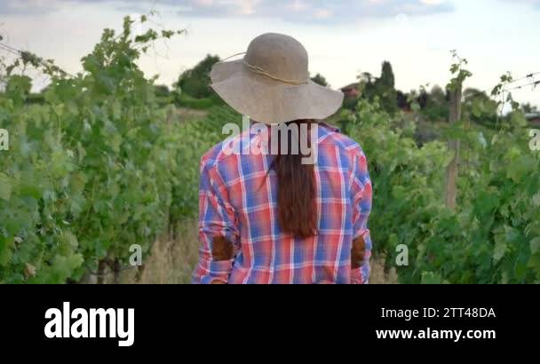 Beautiful smiling girl (woman) farmer watching over grape fields, in a ...
