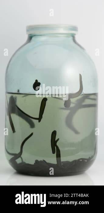 Muddy water jar Stock Videos & Footage - HD and 4K Video Clips - Alamy