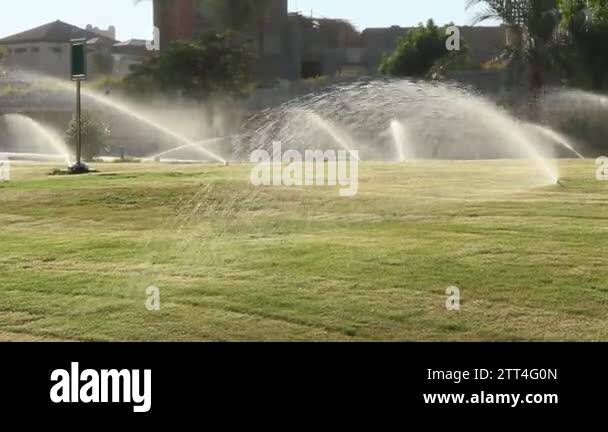 Grassy lawn among palm trees at resort in Egypt. Hotel with well ...