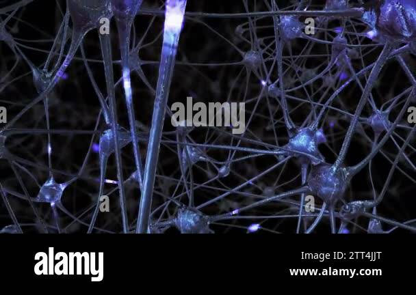 Journey through a network of neuronal cells and synapses in the brain ...