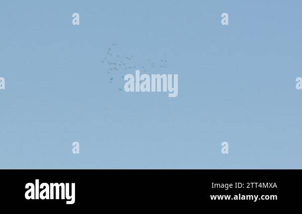 Circling in the sky Stock Videos & Footage - HD and 4K Video Clips - Alamy