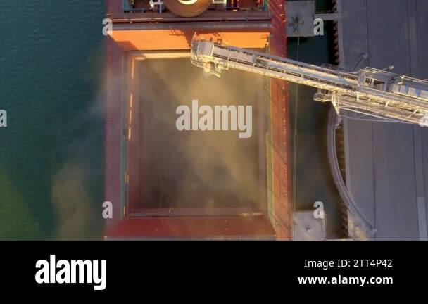 Close view of ship loading grain crops on bulk freighter via trunk to ...