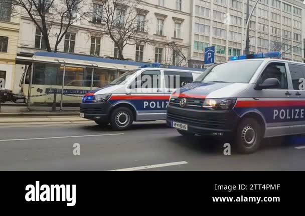 Police cars with flashing lights on city road, law and order, municipal ...
