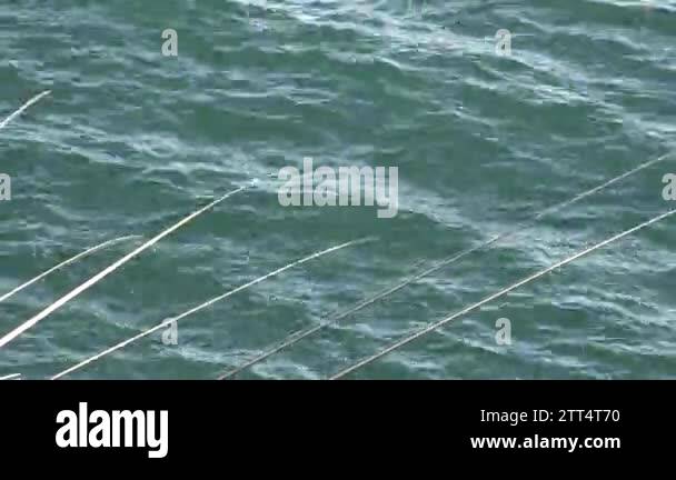 Water rods Stock Videos & Footage - HD and 4K Video Clips - Alamy