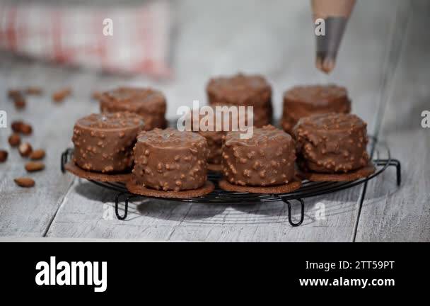 Decorating chocolate mini mousse cake. Chocolate Hazelnut Mousse Cake ...