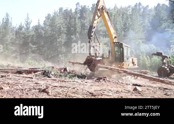 Handling lumber Stock Videos & Footage - HD and 4K Video Clips - Alamy
