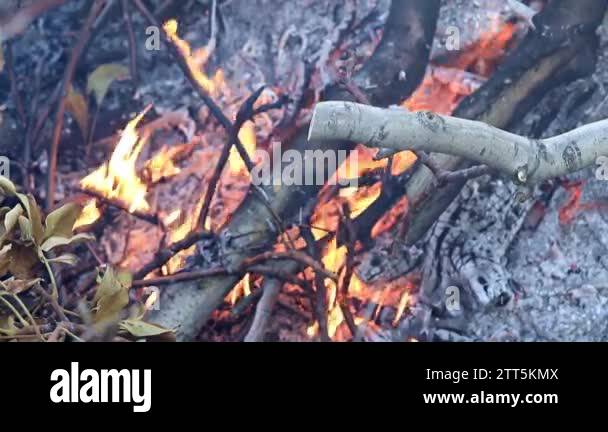 Flames fire bonfire natural disaster Stock Videos & Footage - HD and 4K ...