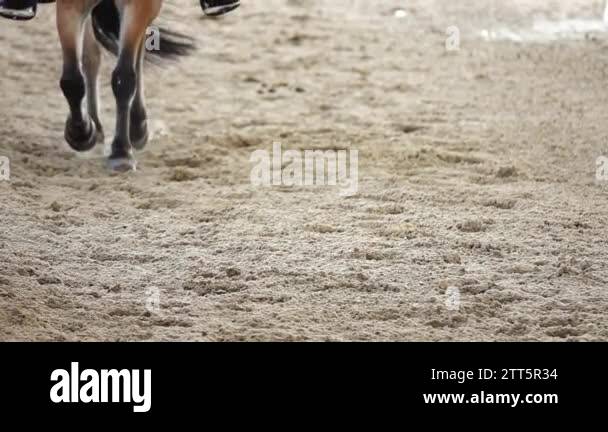 HD 1080p super slowEquestrian competitive horses racing sport sand ...