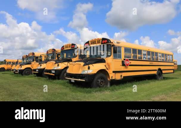 Buses back Stock Videos & Footage - HD and 4K Video Clips - Alamy