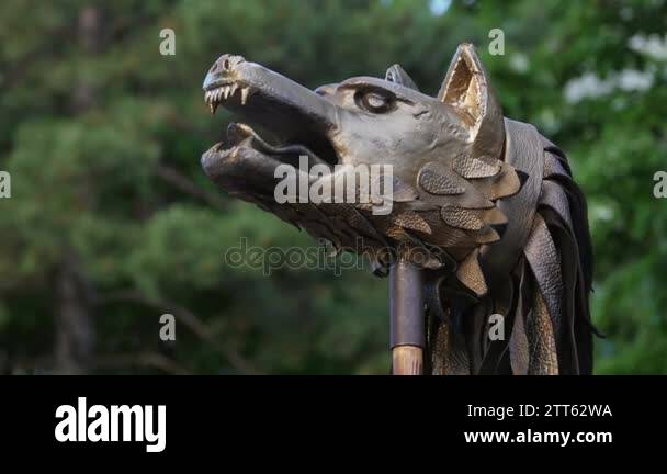 Barbarian flag Stock Videos & Footage - HD and 4K Video Clips - Alamy