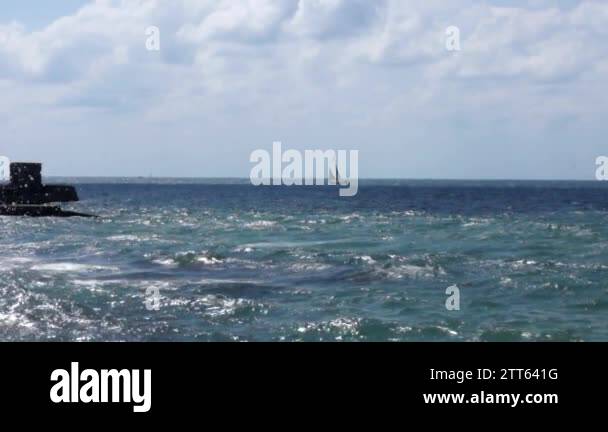 Mole swim Stock Videos & Footage - HD and 4K Video Clips - Alamy