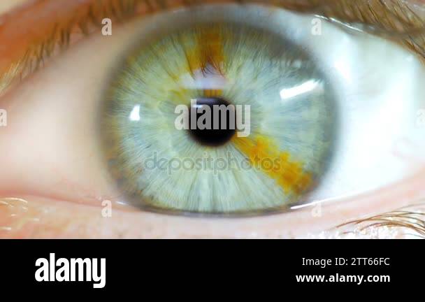 Eye brain anatomy Stock Videos & Footage - HD and 4K Video Clips - Alamy