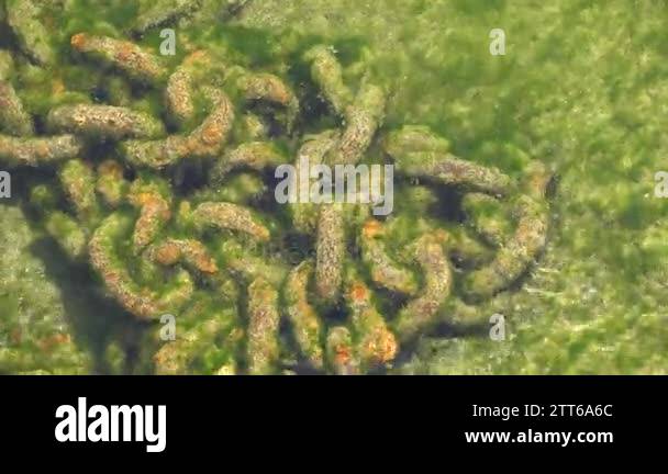 Lake chain Stock Videos & Footage - HD and 4K Video Clips - Alamy