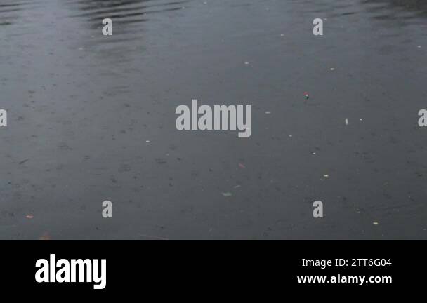 Bleak fish Stock Videos & Footage - HD and 4K Video Clips - Alamy