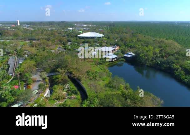 Zoo and animals and aerial Stock Videos & Footage - HD and 4K Video ...