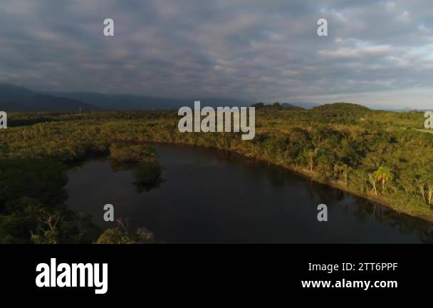 Deforestation amazon rainforest drone aerial Stock Videos & Footage ...
