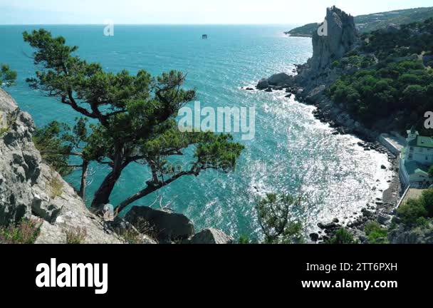 Beach juniper Stock Videos & Footage - HD and 4K Video Clips - Alamy