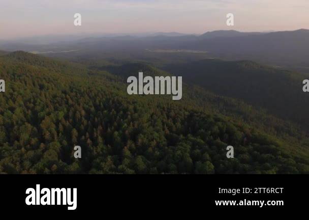Virgin forest Stock Videos & Footage - HD and 4K Video Clips - Alamy