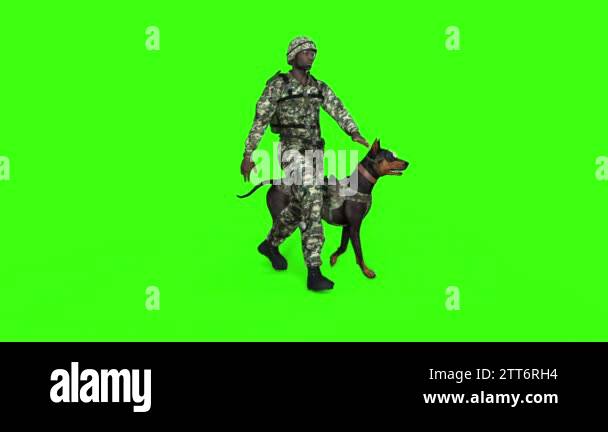 Dog animation loop Stock Videos & Footage - HD and 4K Video Clips - Alamy