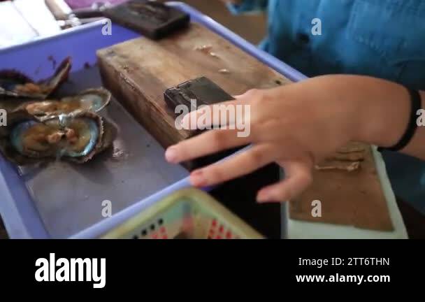 Pearl farm where divers dive up shells out of the sea and grow cultured ...