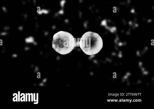 Splitting molecules Stock Videos & Footage - HD and 4K Video Clips - Alamy