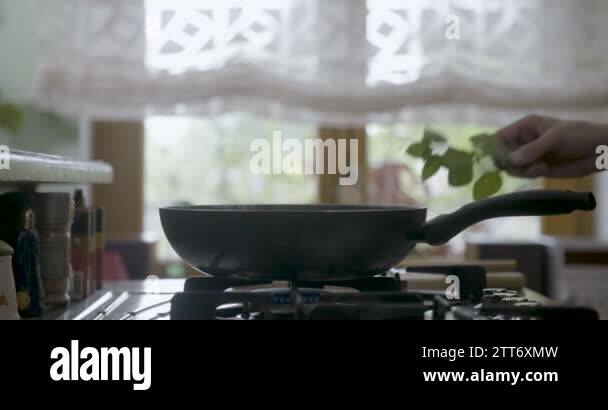Fresh basil Stock Videos & Footage - HD and 4K Video Clips - Alamy