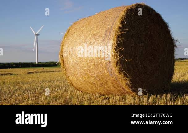 Straw ball in field wind Stock Videos & Footage - HD and 4K Video Clips ...