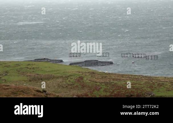 Scottish salmon farming Stock Videos & Footage - HD and 4K Video Clips ...