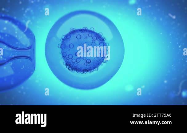 3D Animation of a DNA filled liquid being injected into an egg cell ...