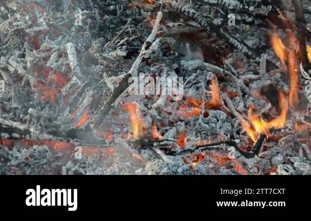 Abstract fire ember background Stock Videos & Footage - HD and 4K Video ...