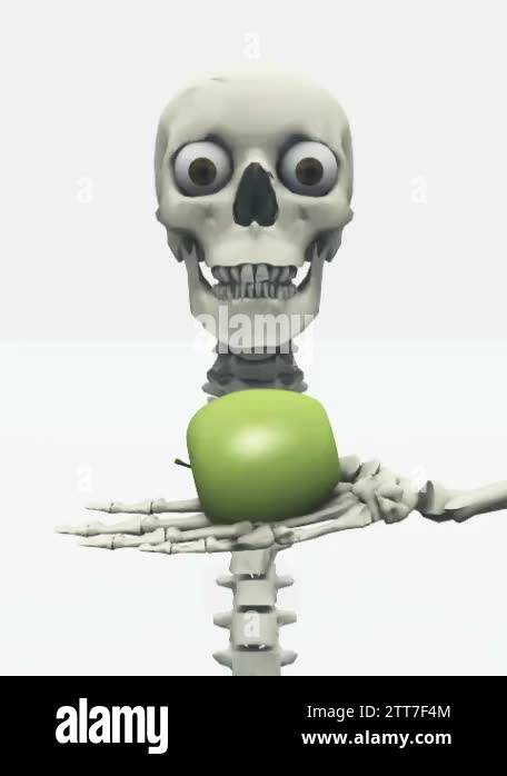 Skeleton homo sapiens model Stock Videos & Footage - HD and 4K Video ...