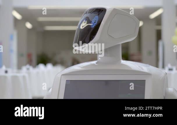 Modern Robotic Technologies. The robot looks at the camera at the ...