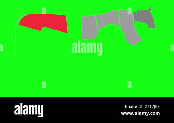 Diagrams Of Cow Body Parts Anatomy for Cuisine Purposes on a Green ...