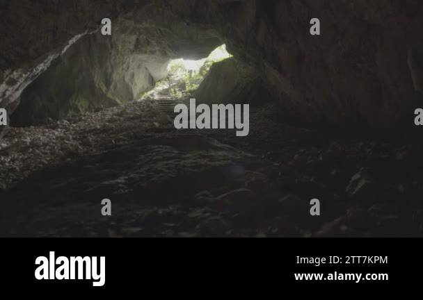 Entrance cave cave in Stock Videos & Footage - HD and 4K Video Clips ...