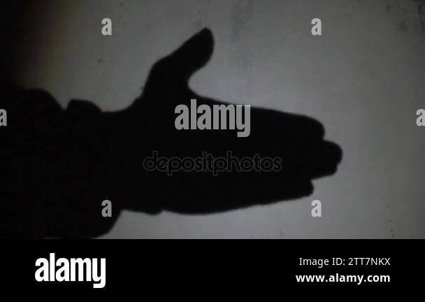 Chicken by hands shadow Stock Videos & Footage - HD and 4K Video Clips ...
