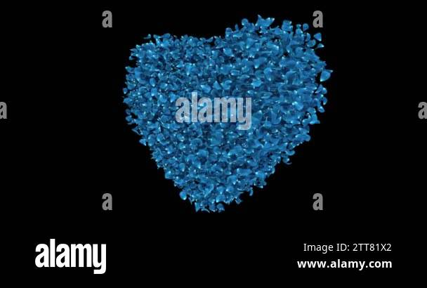 Rotating Blue Rose Flower Petals In Heart Shape Alpha Matte Loop 4k ...