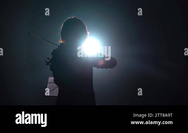 Musician plays the violin while standing with his back. Black smoke ...