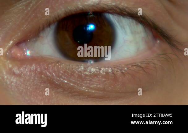 Through the microscope Stock Videos & Footage - HD and 4K Video Clips ...