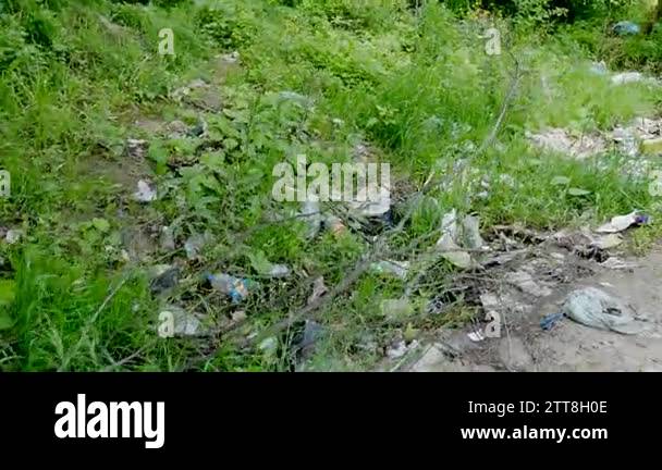 Laying in garbage Stock Videos & Footage - HD and 4K Video Clips - Alamy