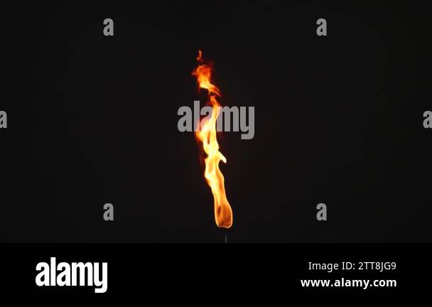 Vertical single torch flame on Stock Videos & Footage - HD and 4K Video ...
