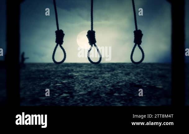 Walking gallows Stock Videos & Footage - HD and 4K Video Clips - Alamy